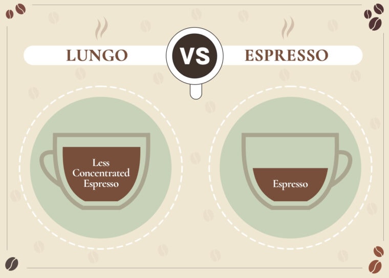 Lungo vs Espresso: Main Differences (With Pictures) | Corner Coffee Store Lungo vs Espresso: Main Differences (With Pictures) | Corner Coffee Store