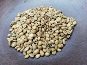 Excelsa Coffee Beans: Facts, Flavors & Pictures | Corner Coffee Store