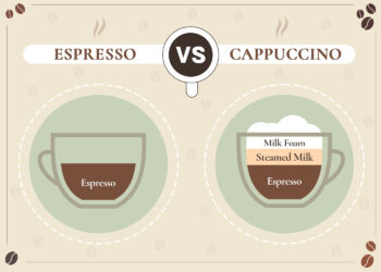 Espresso vs Cappuccino: What's the Difference? | Corner Coffee Store