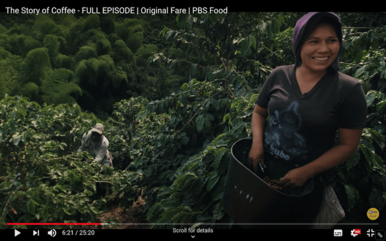 Top 30 YouTube Channels for Coffee Lovers (2025 Update) | Corner Coffee ...