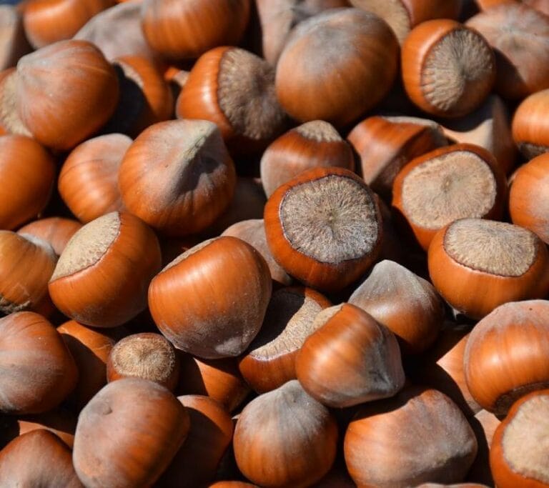 5 Best Hazelnut Coffee Brands 2025 - Top Picks & Detailed Reviews