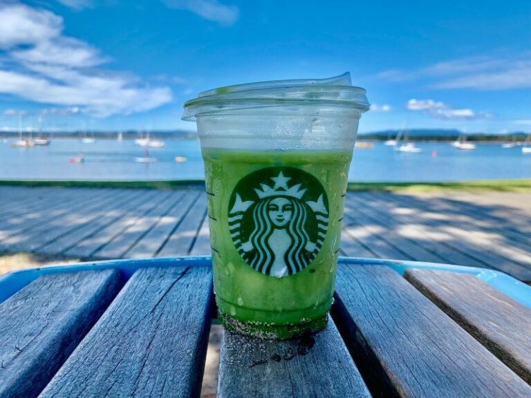15 Best Cold Drinks at Starbucks: 2025 Options Ranked & Reviewed ...