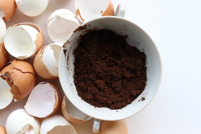 Why You Should Put Eggshells in Coffee: Improved Flavor & Tips | Corner ...