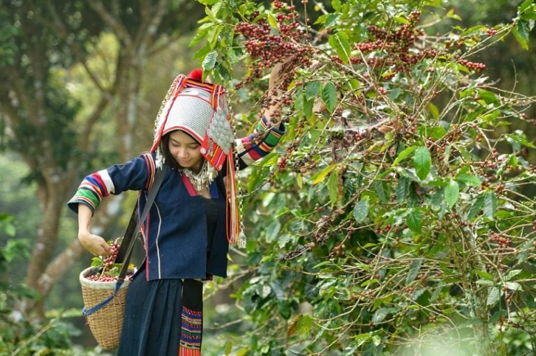 Top 15 Coffee-Producing Countries in the World (2025 Statistics ...