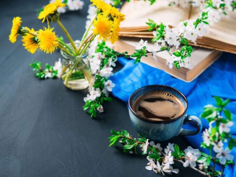 How to Make a Coffee Nudge Cocktail: Recipe & Pictures | Corner Coffee ...