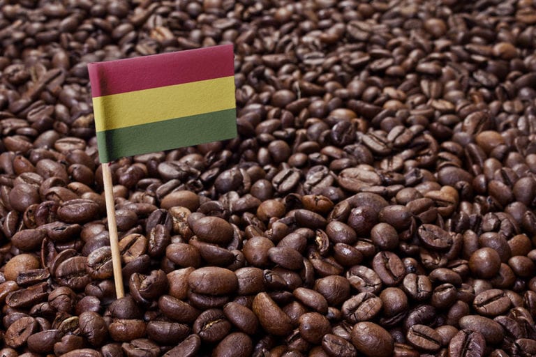 Bolivia Coffee: Brew History, Beans & Roasts | Corner Coffee Store