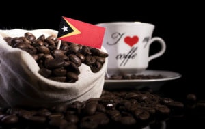 Timor Coffee Culture: History, Flavors & Brewing Tips | Corner Coffee Store