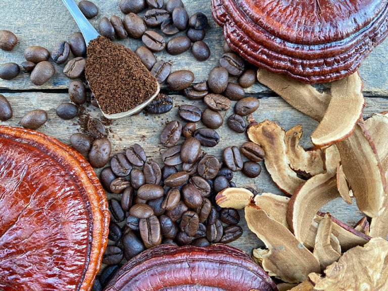 12 Ganoderma Coffee Benefits That Will Amaze You! | Corner Coffee Store