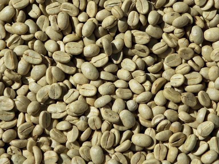 What's a Coffee Allergy? Causes & Symptoms | Corner Coffee Store
