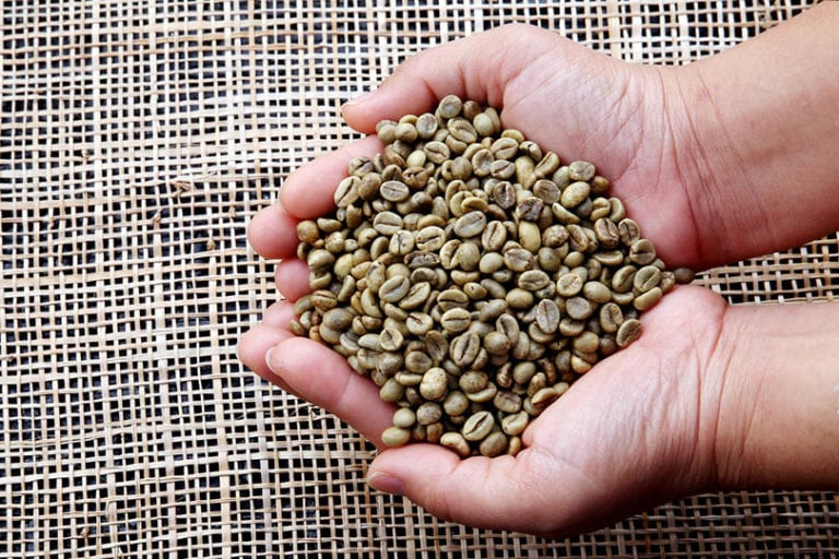 Robusta Coffee Beans: Facts, Flavors & Pictures | Corner Coffee Store