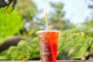 10 Best Summer Drinks at Starbucks in 2025: Ranked & Reviewed | Corner Coffee Store